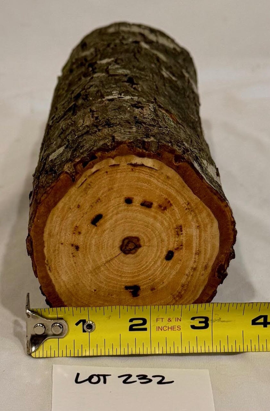 Bird-pecked Pecan Craft Wood Log, Woodworking Carving Turning Blank - Etsy
