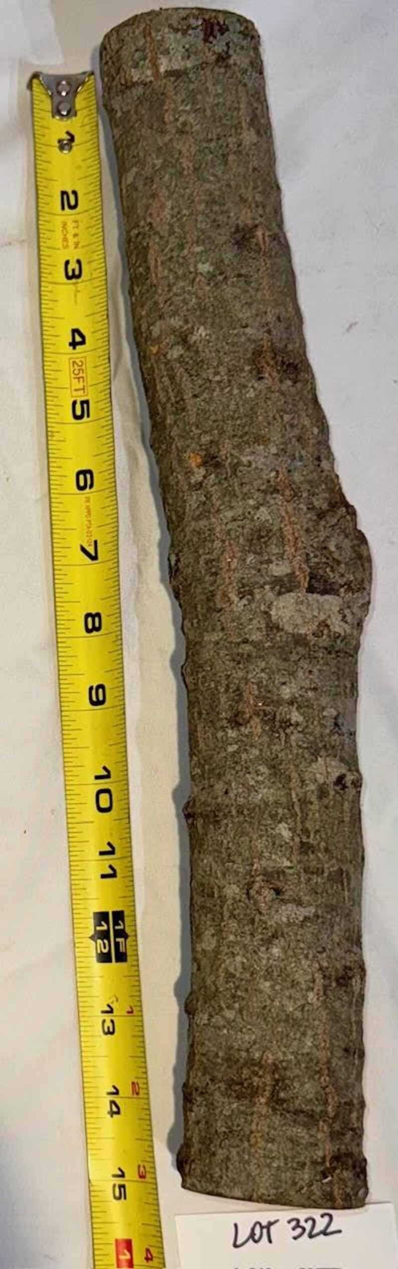 Honey Locust Craft Log, Green Project Wood for Wood Working, Wood ...