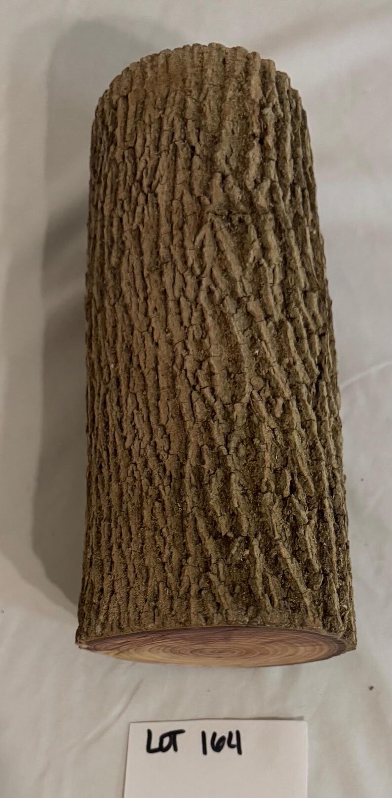 One Piece Ash Project Wood/craft Log for Carving Blanks, Turning Blanks ...