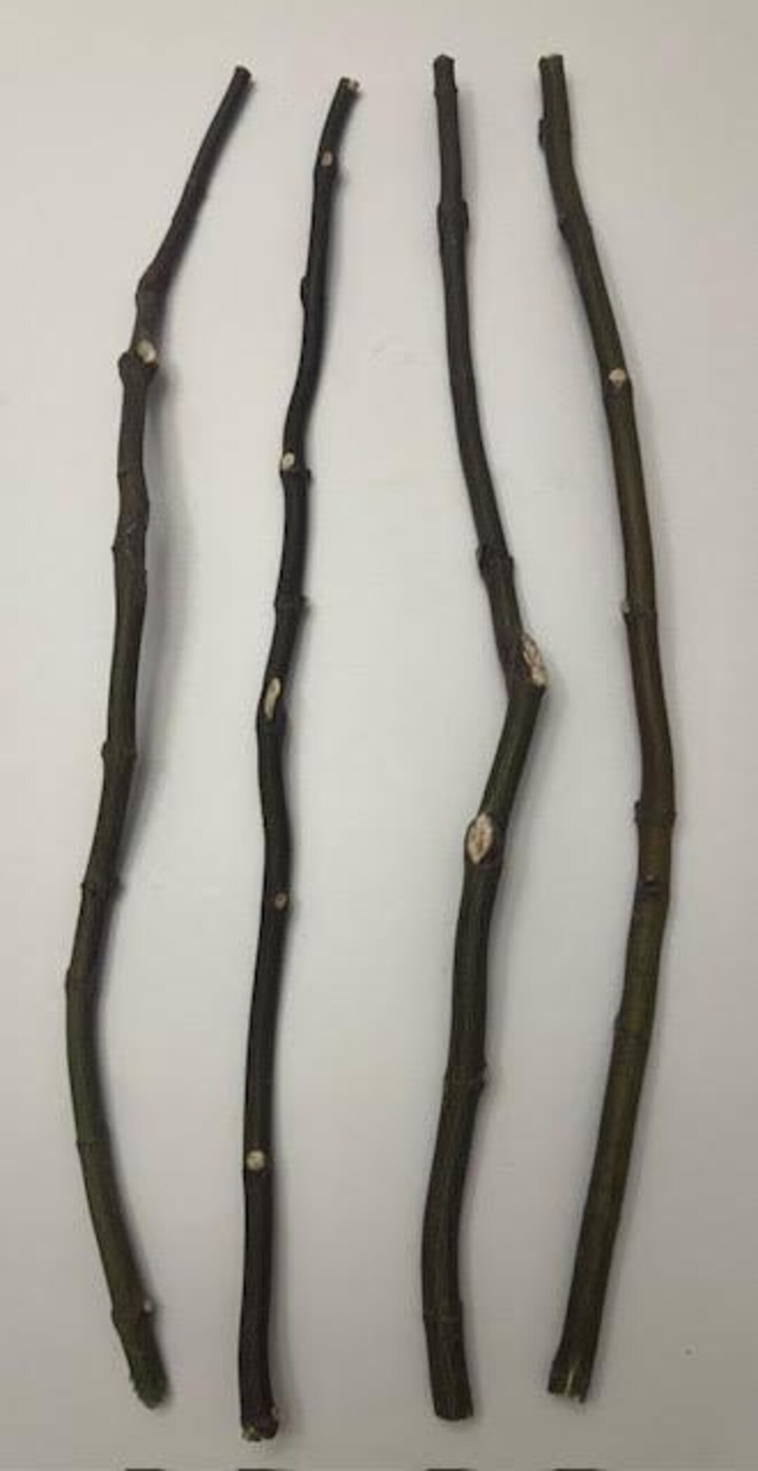 4 Pieces Japanese Maple Craft Sticks for Seasonal Decoration, Craft ...