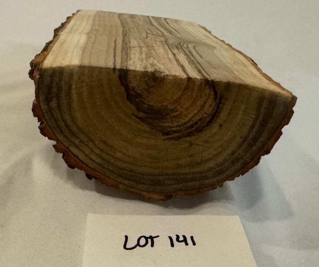 One Piece Sassafras Live Edge Craft Log for Woodworking, Woodturning ...