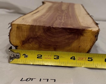 Large Spalted Red Oak Craft Log, Project Wood for Wood Working, Wood ...