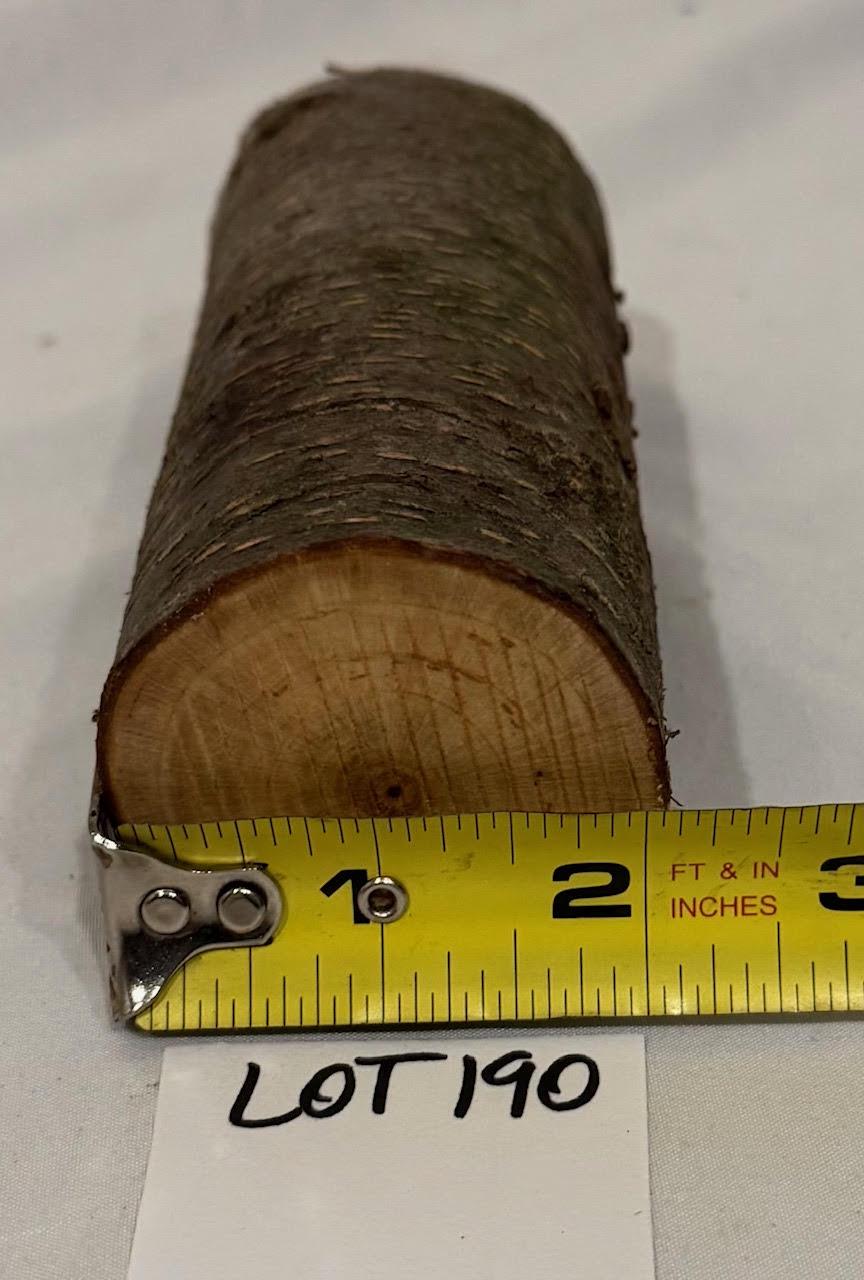 One Piece Black Locust Craft Log for Wood Turning, Wood Working, Wood ...