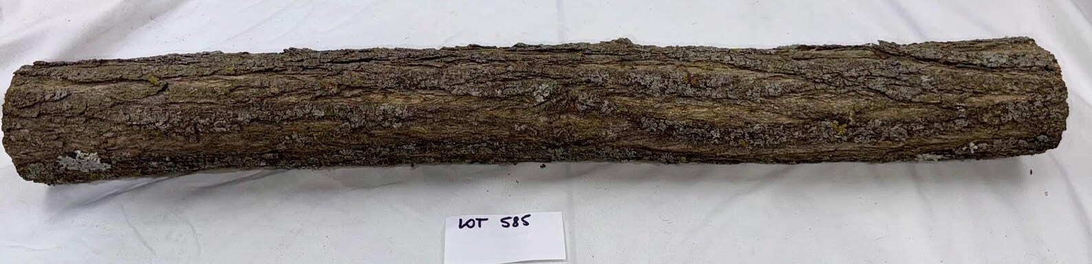 Black Locust Wood Project Log, Craft Woodworking Blank (29x3.5 Inches ...