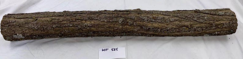 Black Locust Wood Project Log, Craft Woodworking Blank (29x3.5 Inches ...
