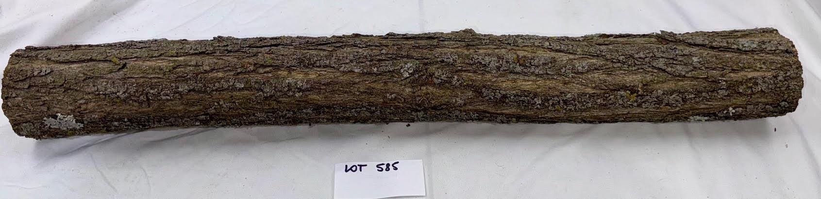 Black Locust Wood Project Log, Craft Woodworking Blank (29x3.5 Inches ...