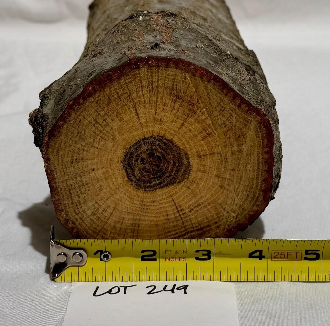 Green Oak Project Log for Wood Turning, Wood Working, Wood Carving ...