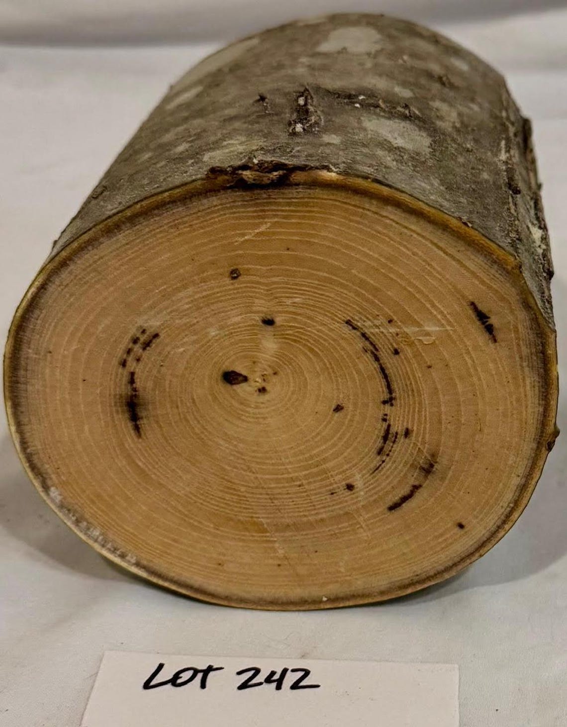 Hackberry Project Log, Green Project Wood for Wood Working, Wood Carving, Wood Turning, Crafts ...