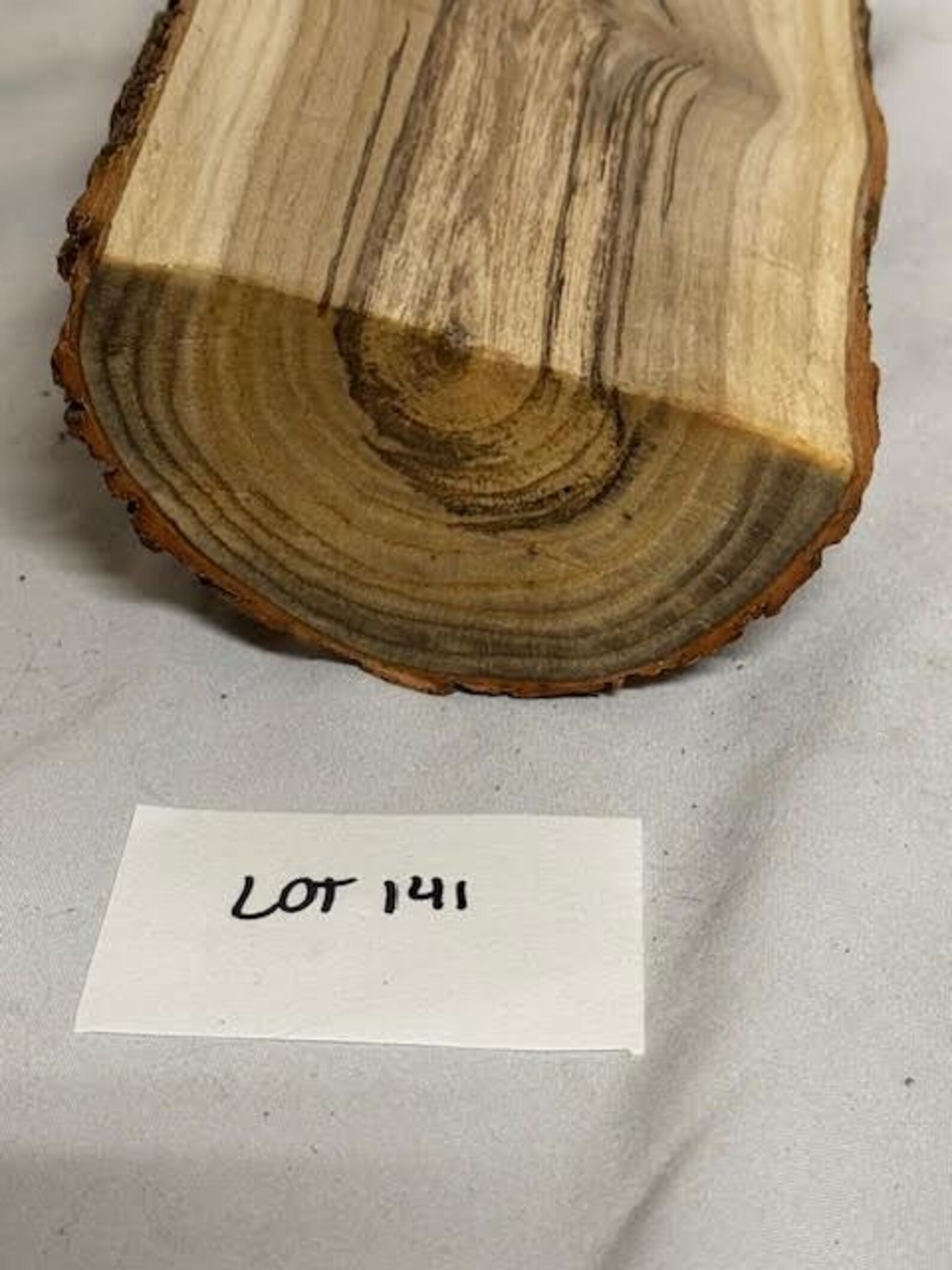 One Piece Sassafras Live Edge Craft Log for Woodworking, Woodturning ...