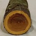 Honey Locust Project Log, Green Project Wood for Wood Carving, Wood ...