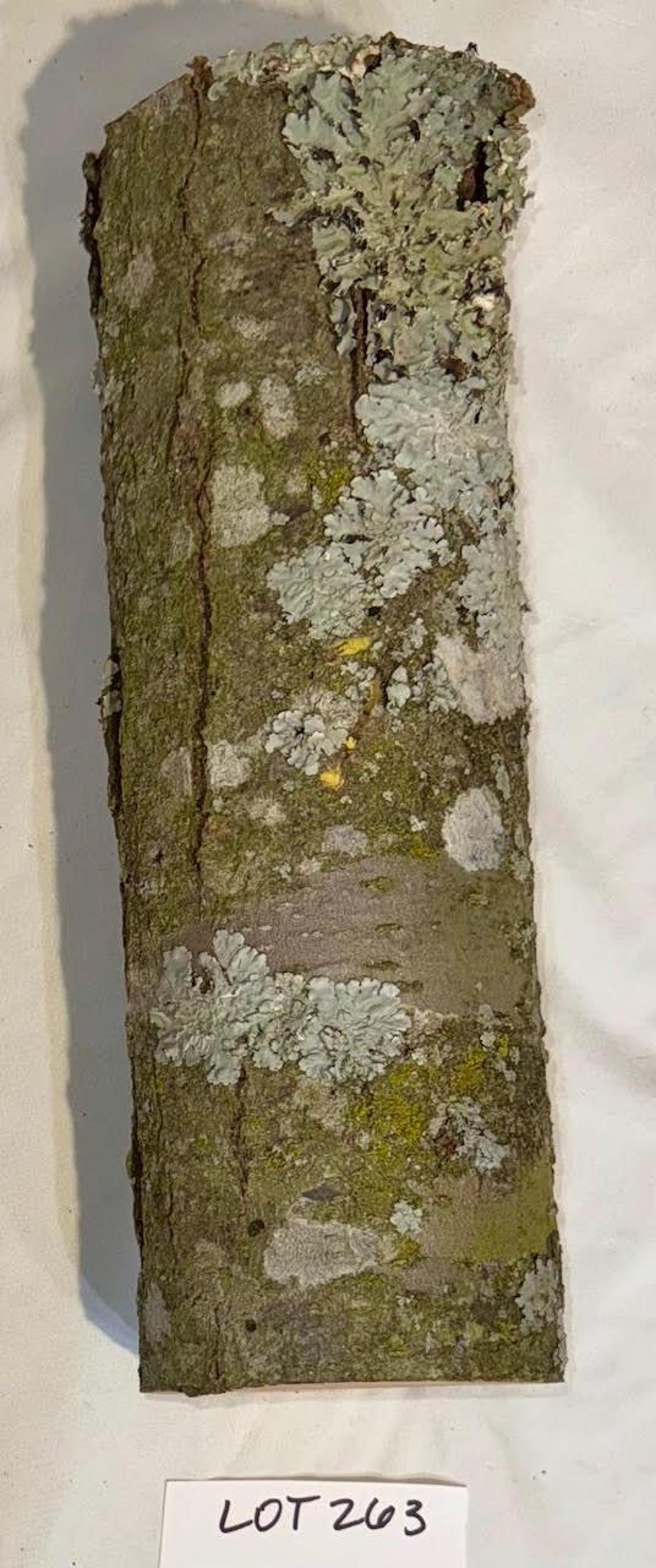 Honey Locust Project Log, Rustic Green Project Wood for Turning Blanks ...