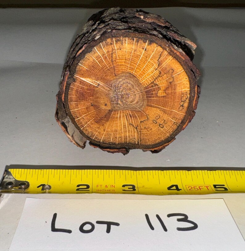 One Piece Spalted White Oak Craft Log for Woodworking, Woodturning ...