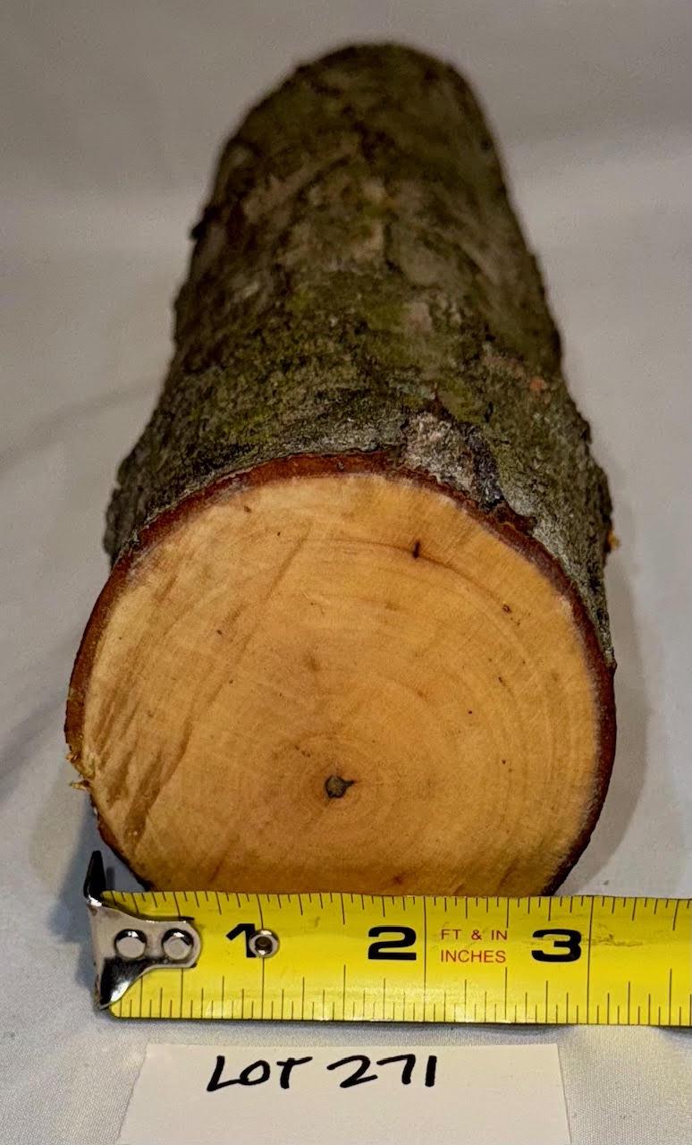 Red Maple Craft Log, Green Wood Project Wood for Wood Turning, Wood ...