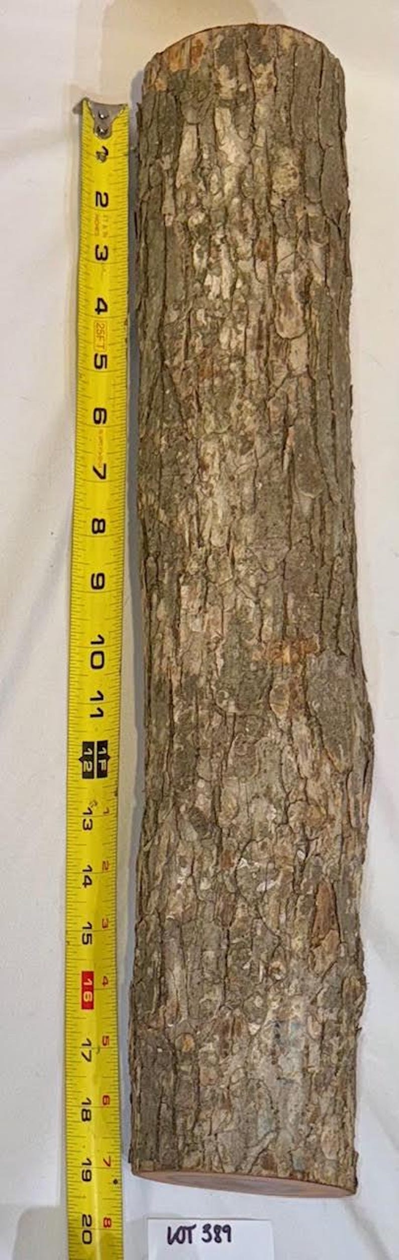 Hainbuche, Blaubuche, Eisenholz, Muskelholz Holzscheit, grünes ...
