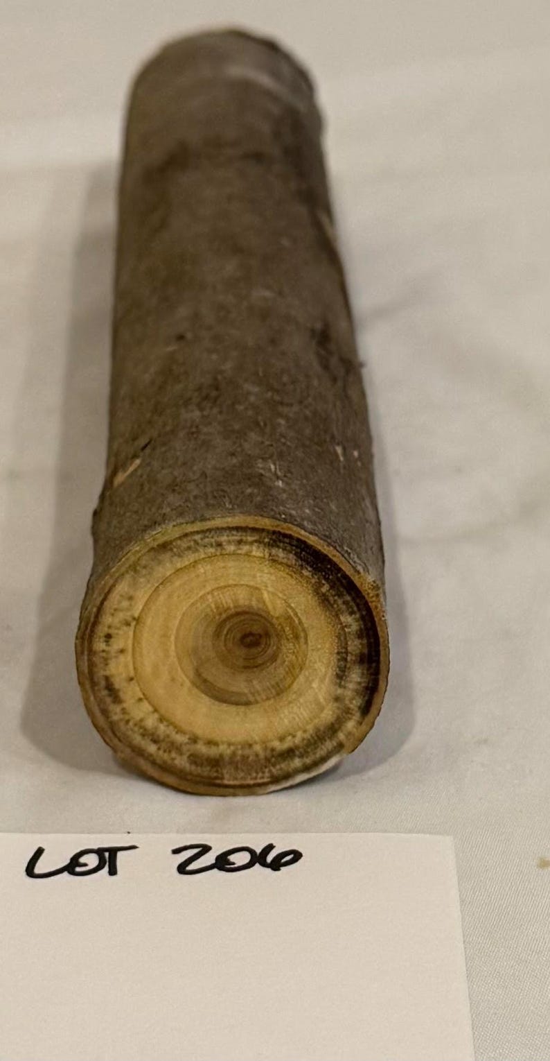 One Piece Black Locust Craft Log for Wood Working, Wood Turning, Wood ...