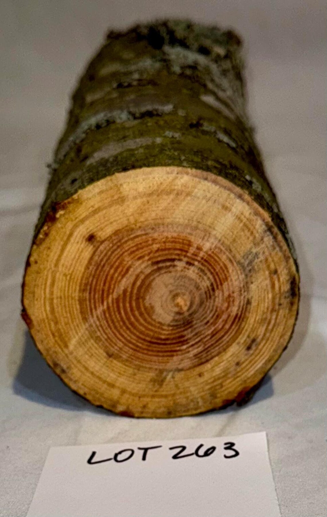 Honey Locust Project Log, Rustic Green Project Wood for Turning Blanks ...