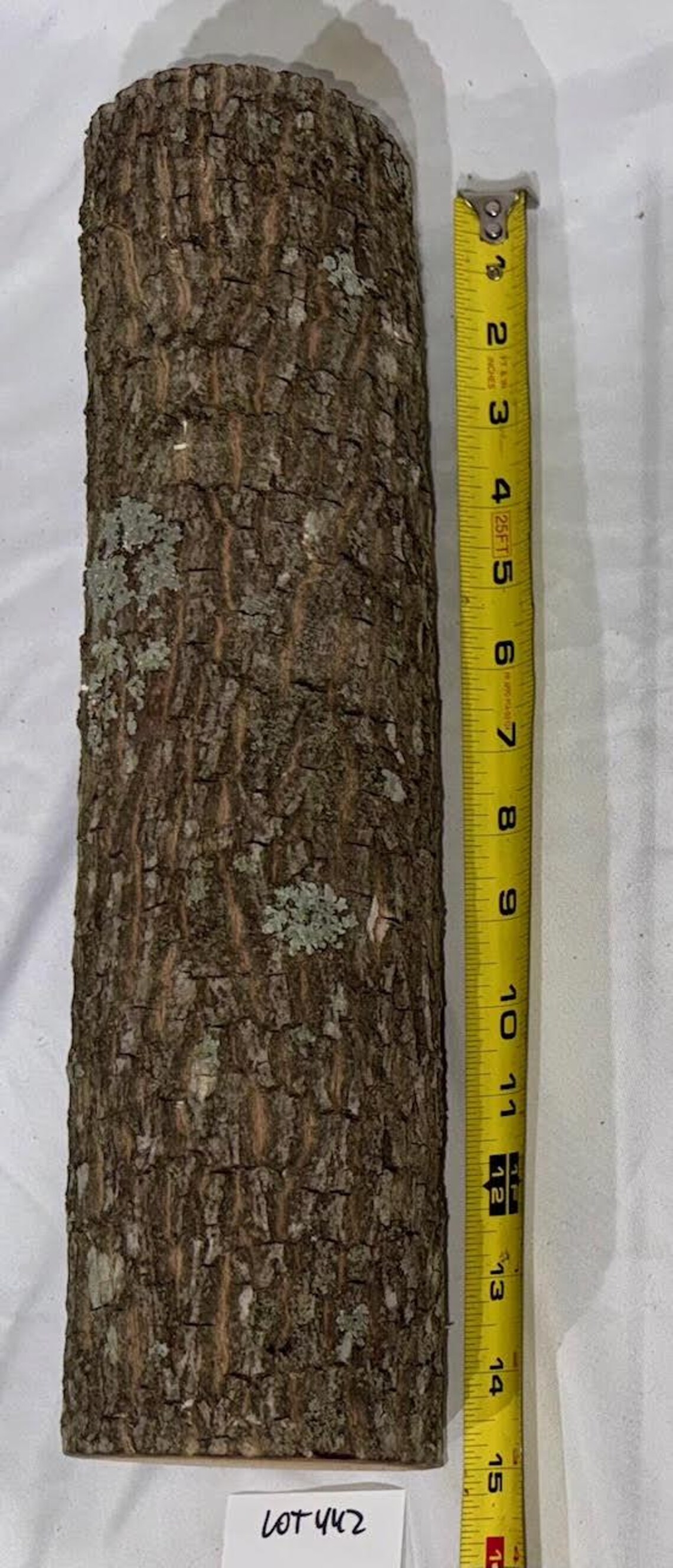 Persimmon Project Log, Green Project Wood for Woodworking, Wood Carving ...