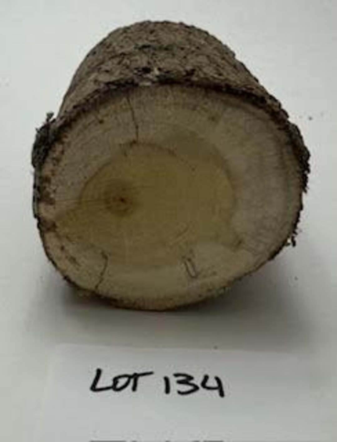 Spalted Mulberry Craft Log, Woodturning Blank (5.5x3 Inches) - Etsy