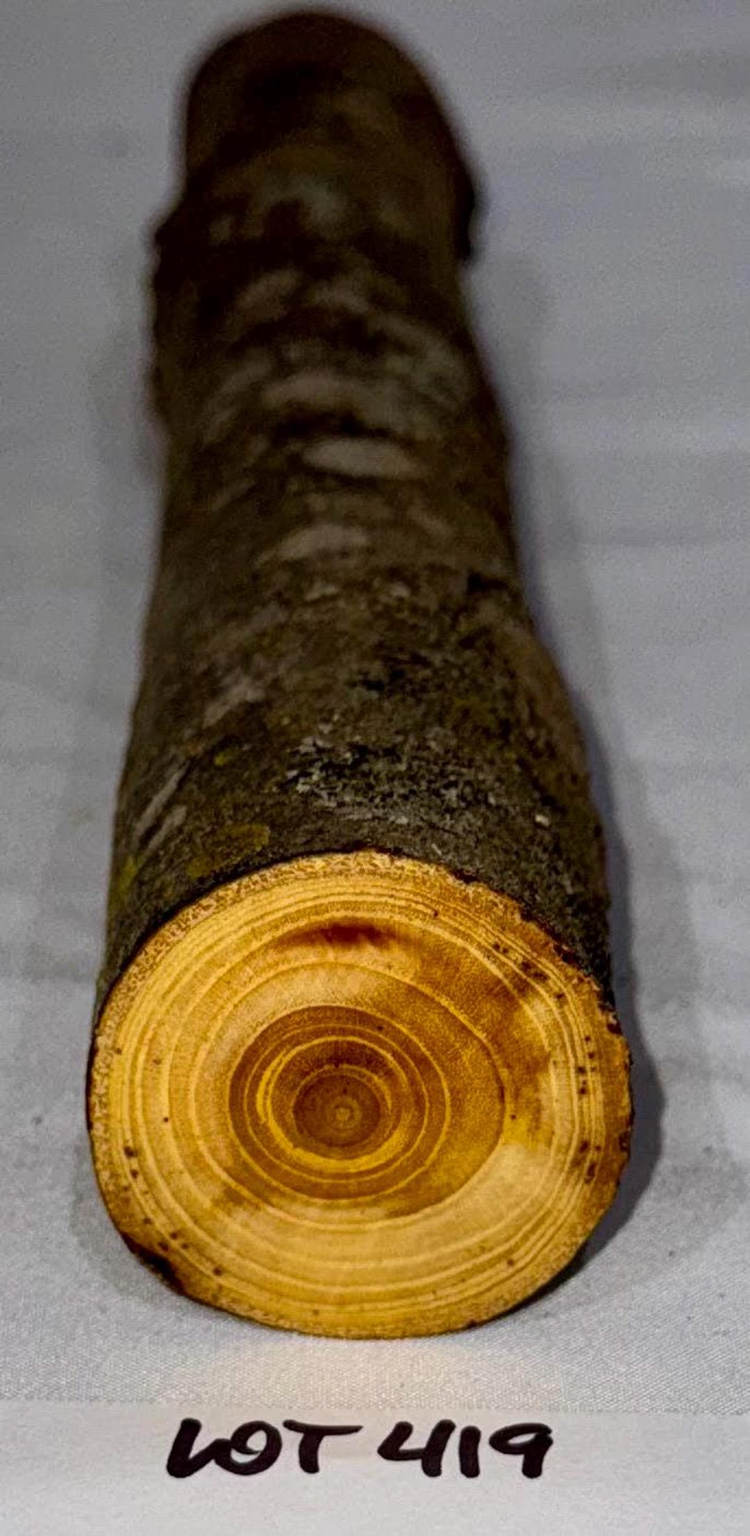 Mulberry Craft Log, Woodworking Carving Blank, 11.5 Inch - Etsy