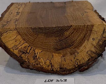 Spalted Red Oak Craft Log, Project Wood for Woodworking, Wood Carving ...
