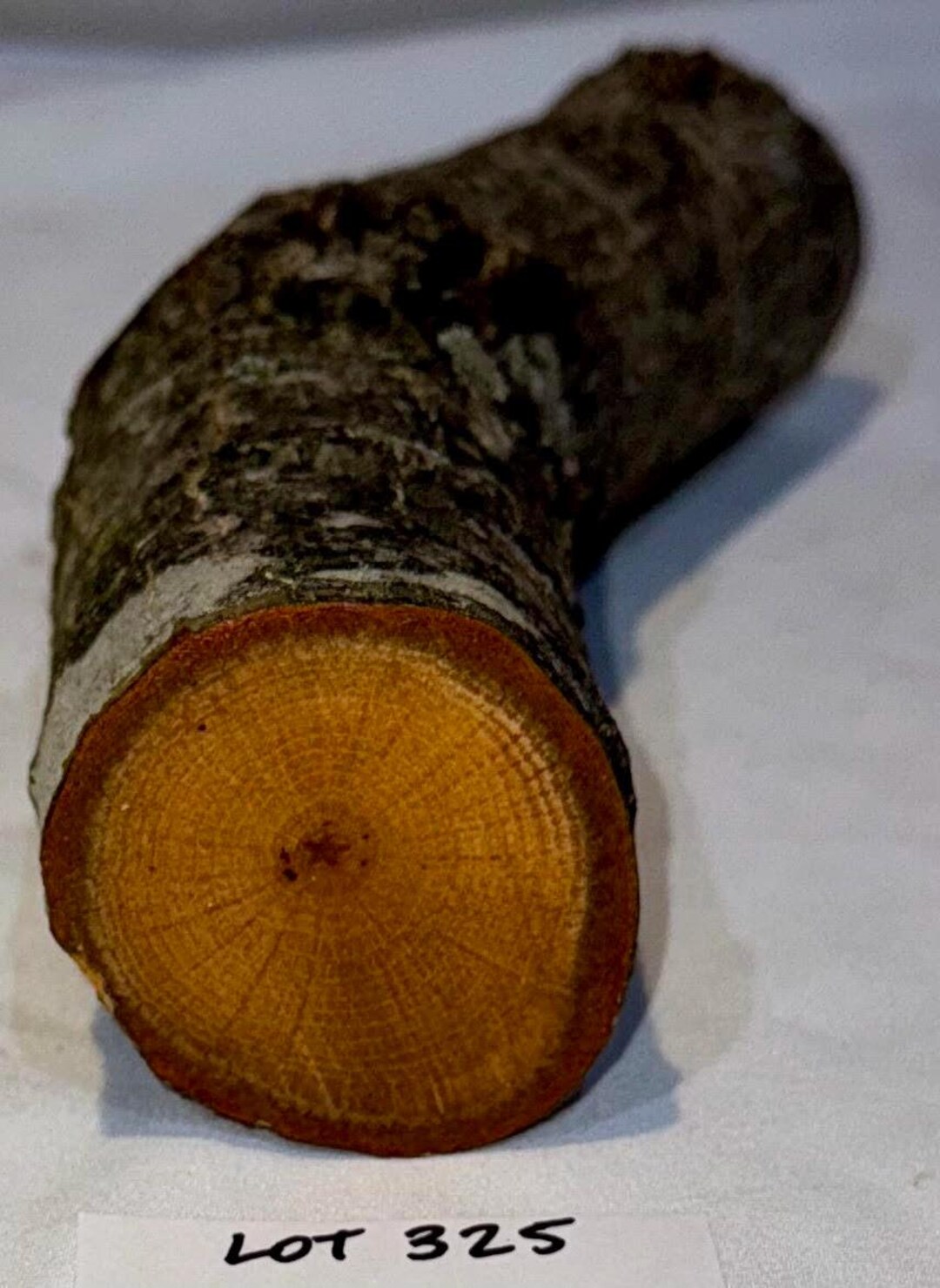 Honey Locust Craft Log, Green Project Wood for Wood Working, Wood ...