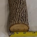 Ash Craft Log, Woodturning Woodcarving Blank (5.5x2.25) - Etsy