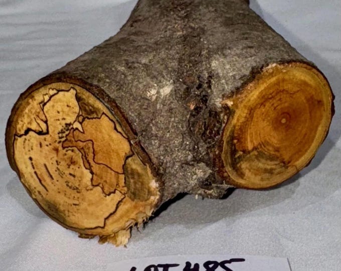 Spalted Maple Craft Log With Branch Junction Crotch, Project Wood for ...