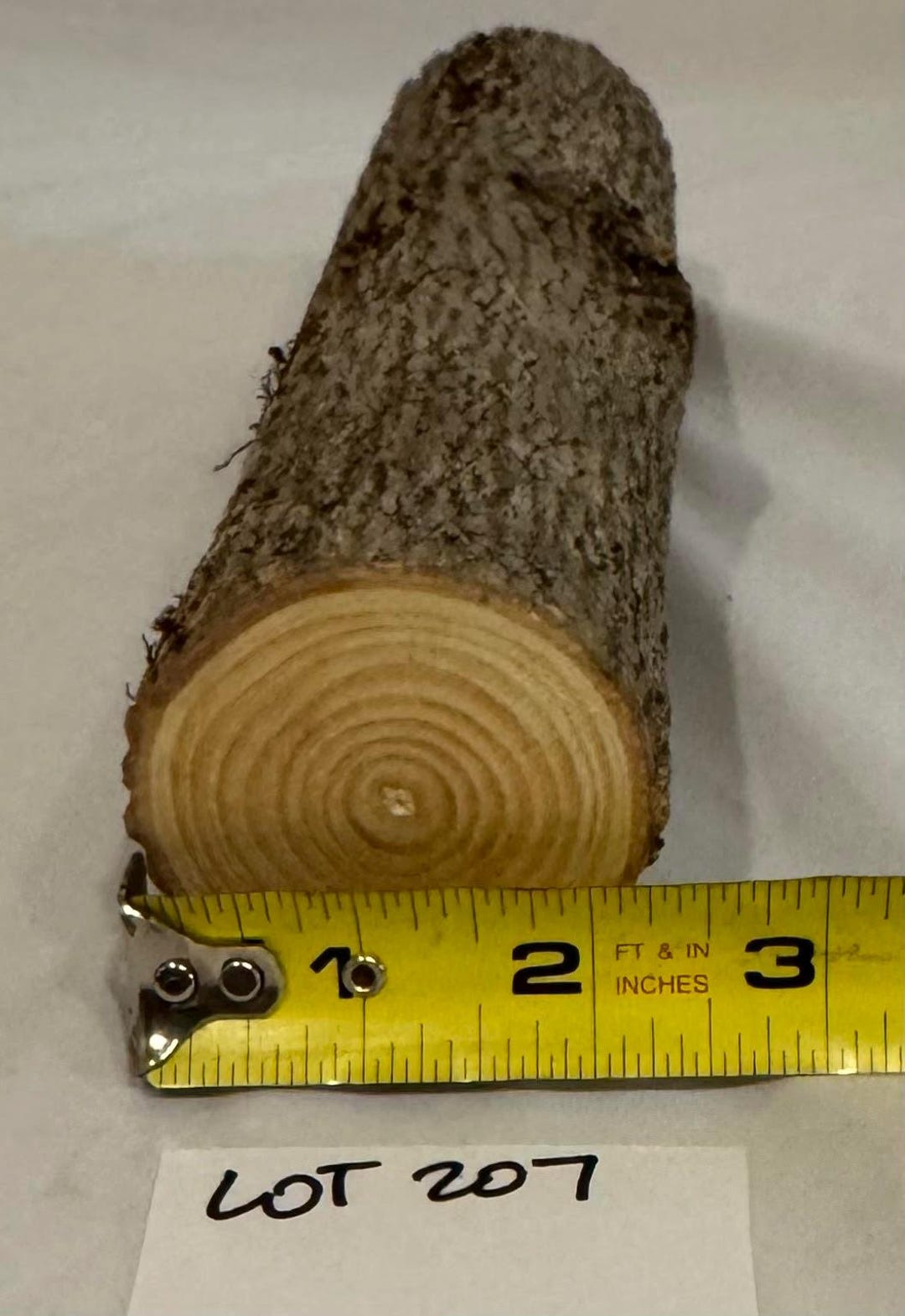 One Piece Ash Craft Log for Wood Working, Wood Turning, Wood Carving ...