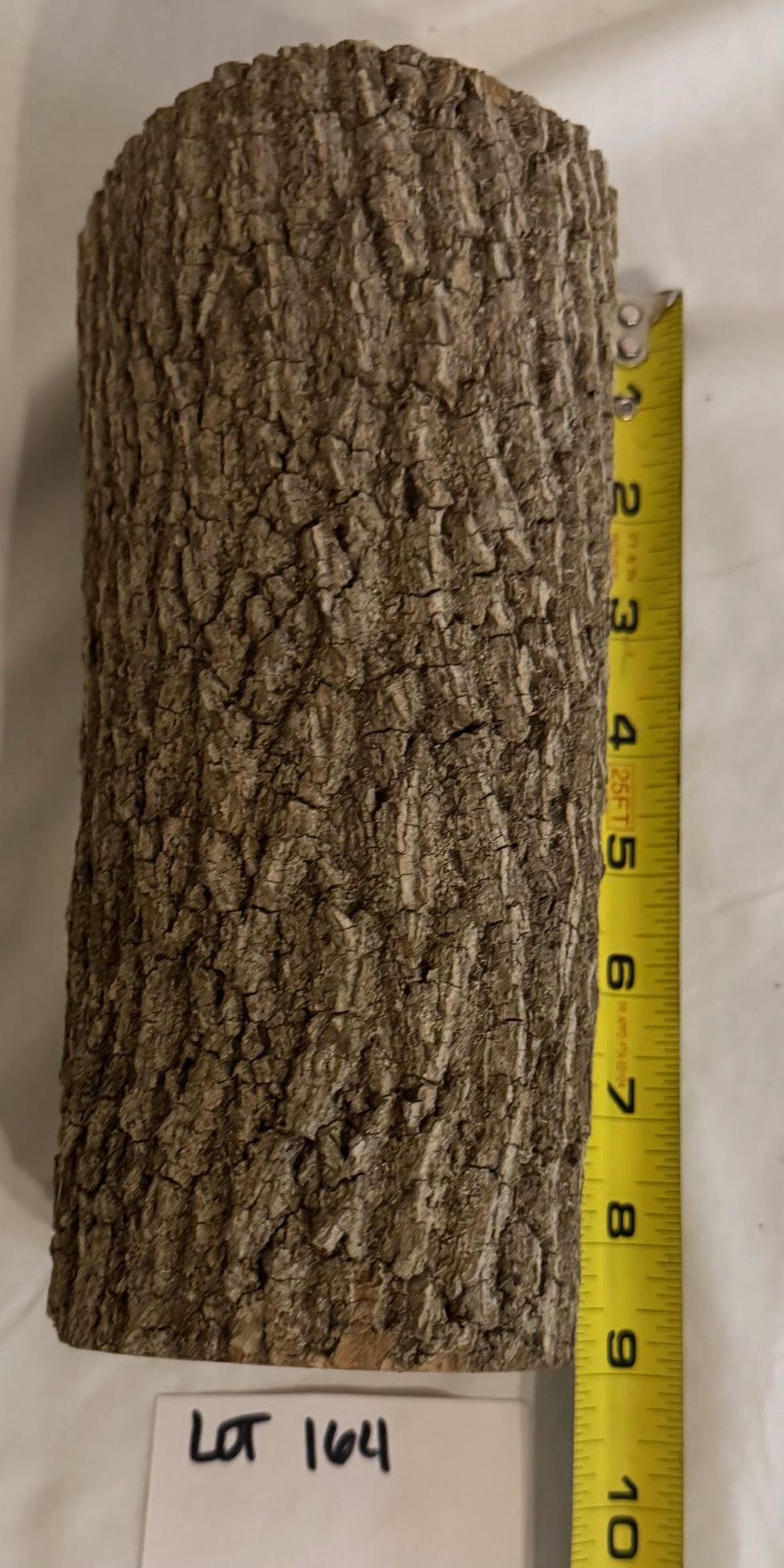 One Piece Ash Project Wood/craft Log for Carving Blanks, Turning Blanks ...