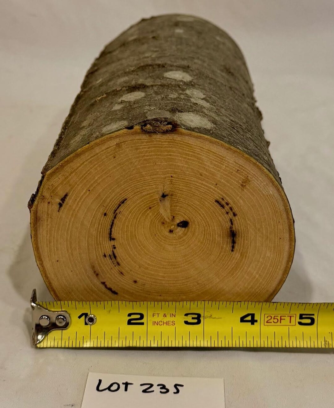 Hackberry Craft Log, Green Project Log for Wood Turning, Wood Carving ...