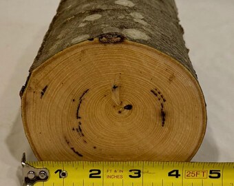 Persimmon Project Log, Green Project Wood for Woodworking, Wood Carving ...