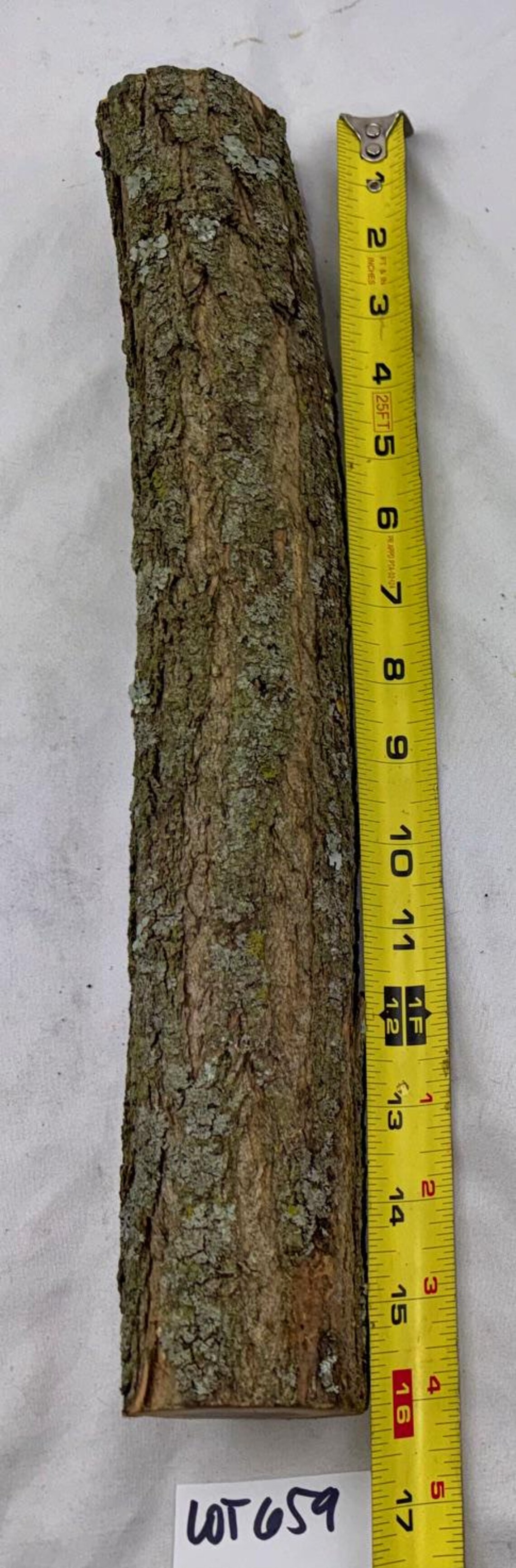 Black Locust Project Log, 15.5 X 2 Inches Green Wood - Etsy