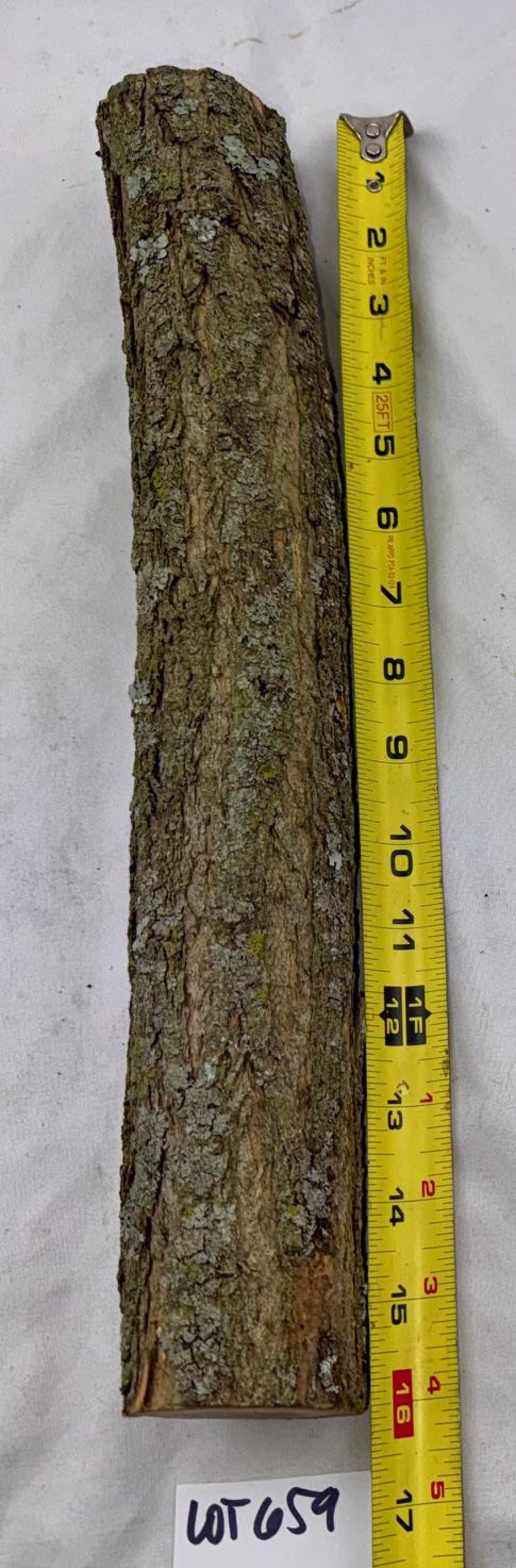 Black Locust Project Log, 15.5 X 2 Inches Green Wood - Etsy