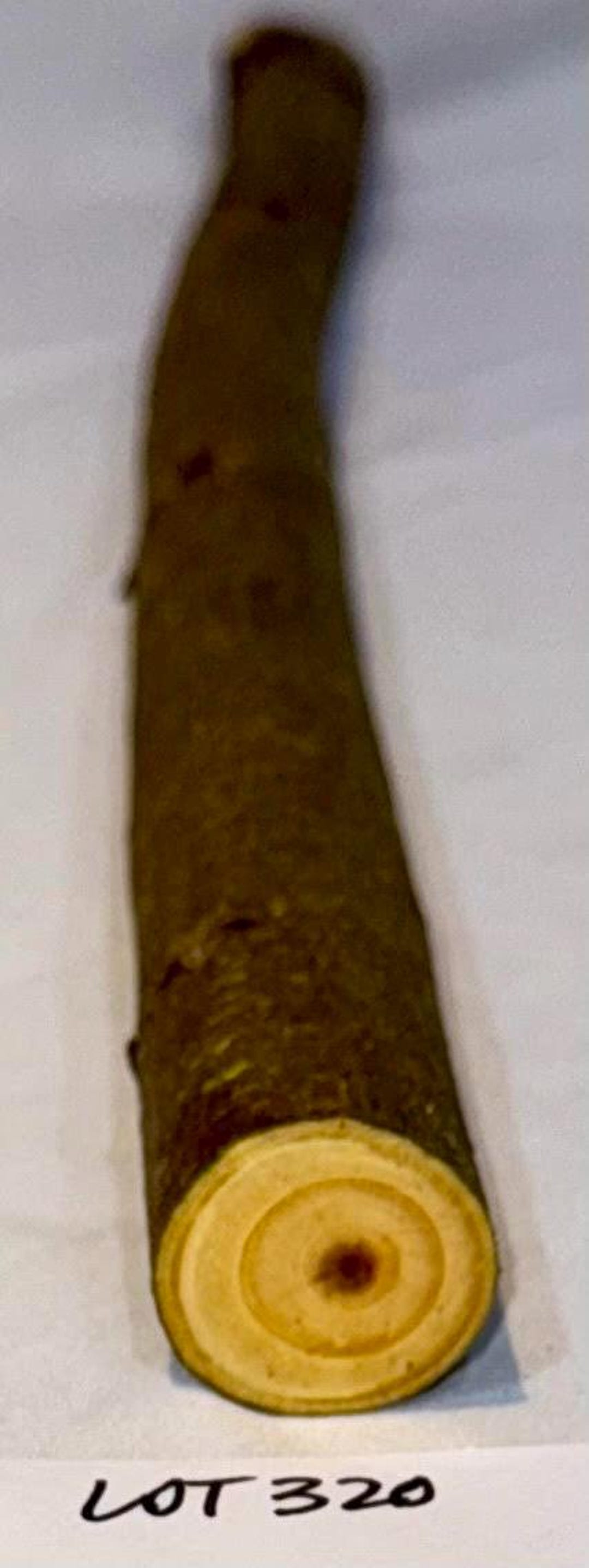 Black Locust Craft Log, Green Project Wood for Wood Working, Wood ...