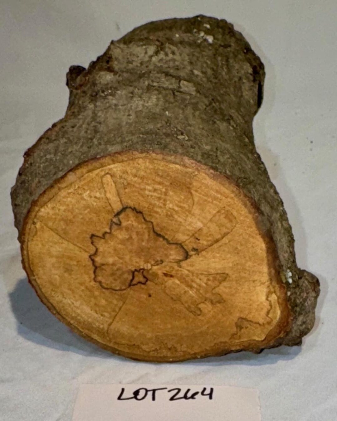 Spalted Maple Rustic Project Log for Wood Turning, Wood Carving, Wood ...