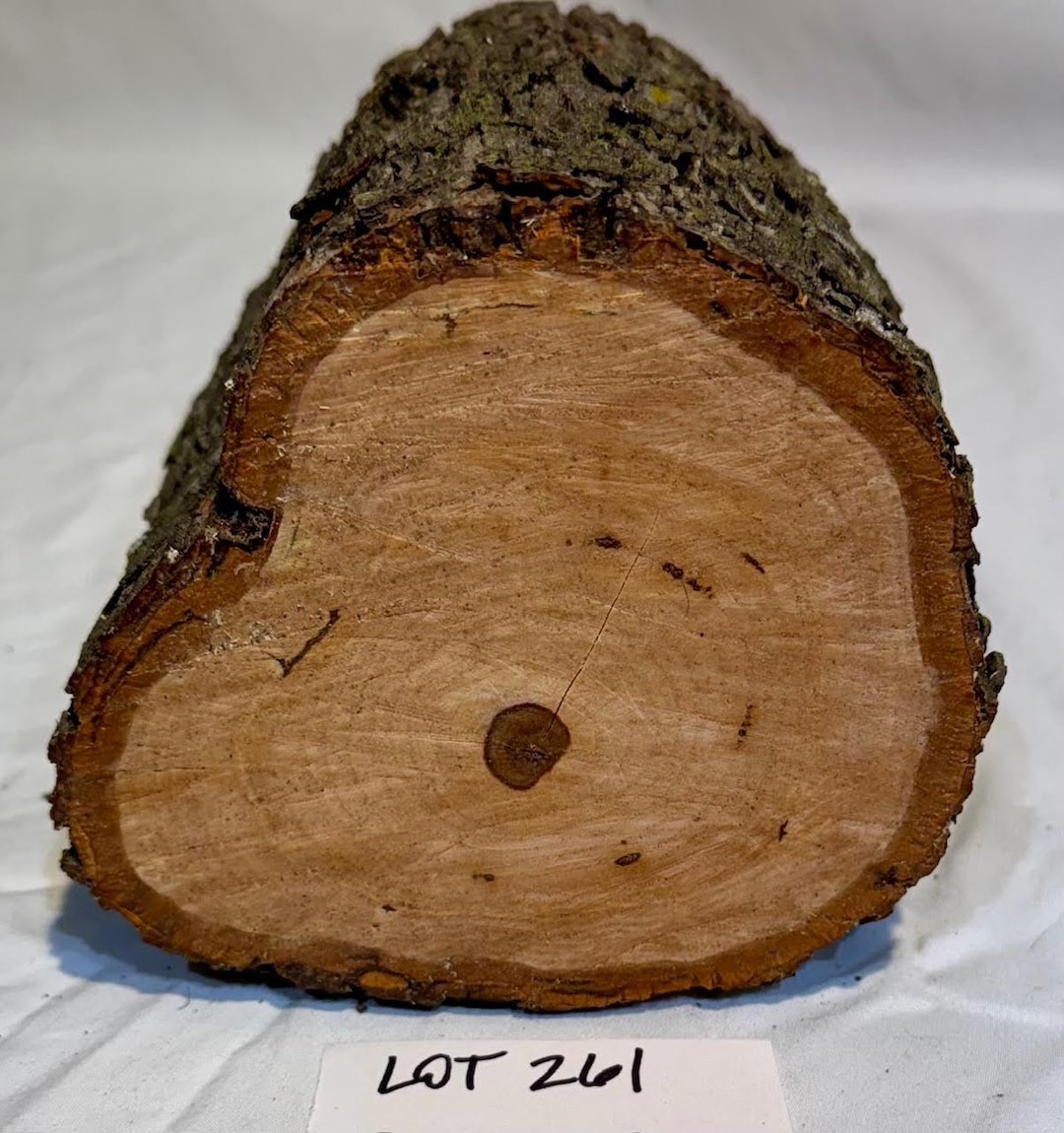 Pecky Pecan Project Wood, Bird-pecked Pecan Wood for Turning, Carving ...