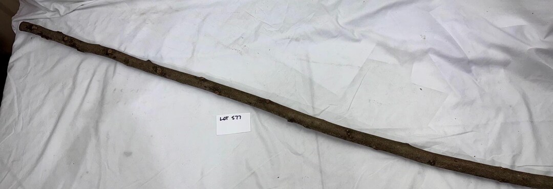 Hazel Wood Walking Stick Blank, Hand-selected Craft Wood (60.5 Inches ...