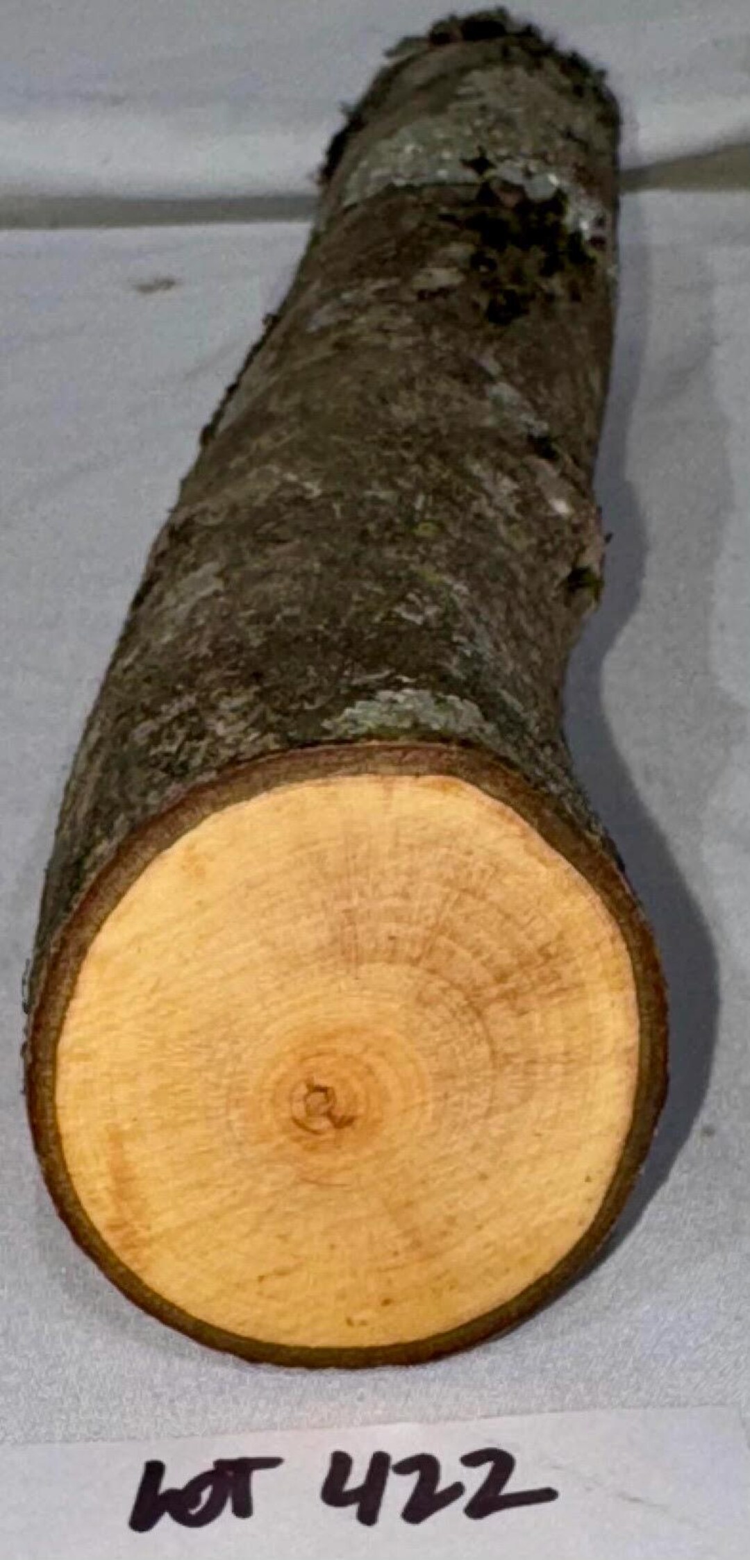 Honey Locust Project Log, Green Project Wood for Woodworking, Wood ...