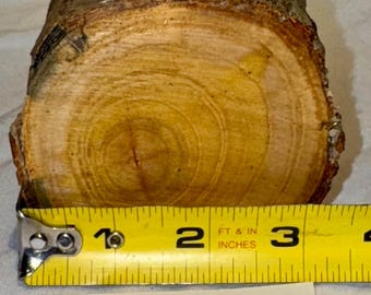 Large Mulberry Project Log for Wood Working, Wood Turning, Wood Carving ...