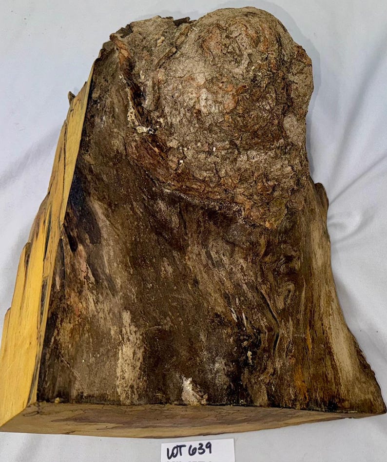 Large Spalted Maple Project Wood With Burl, 12 X 11 X 5.5 Inches - Etsy UK