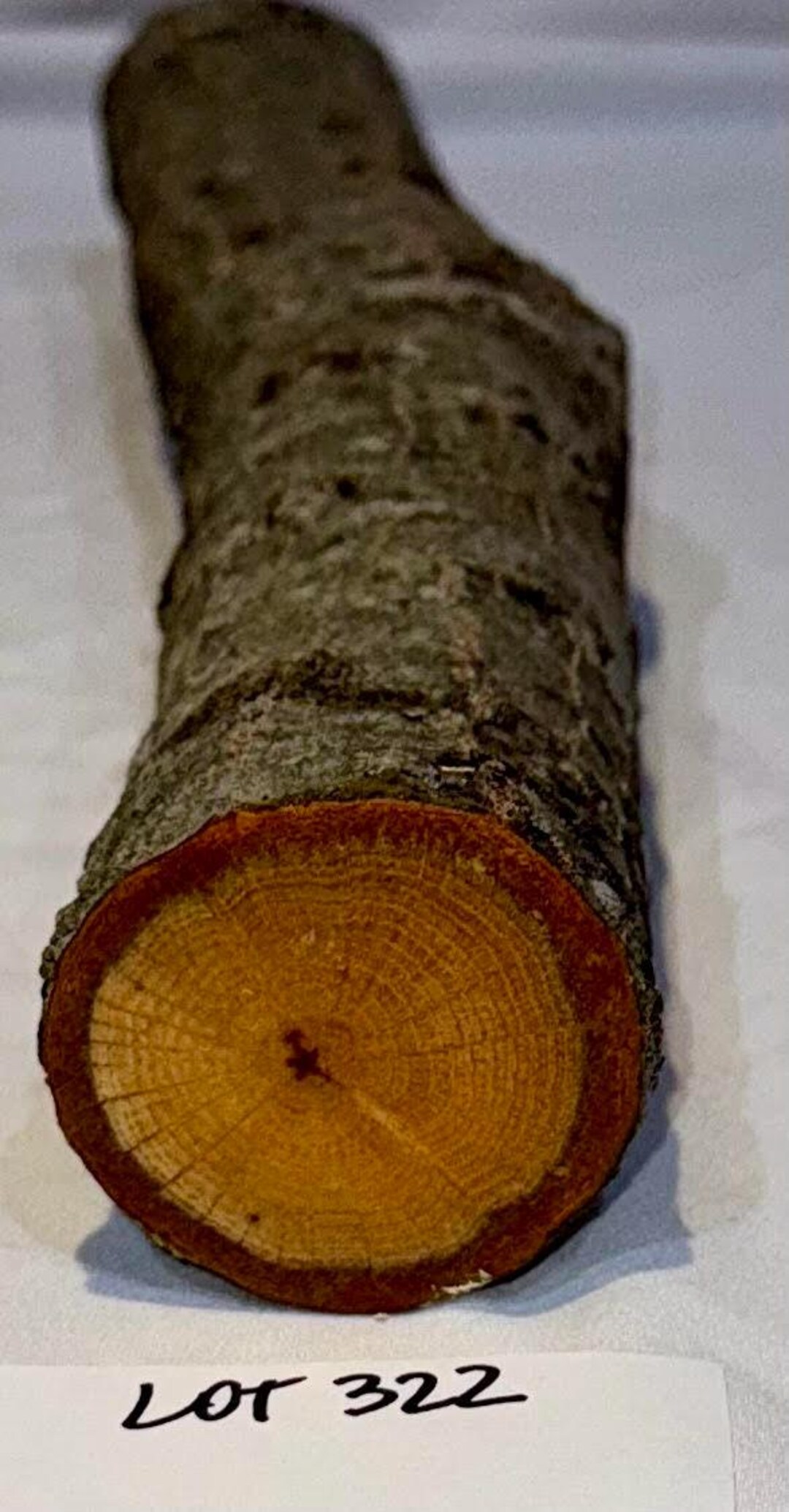 Honey Locust Craft Log, Green Project Wood for Wood Working, Wood ...