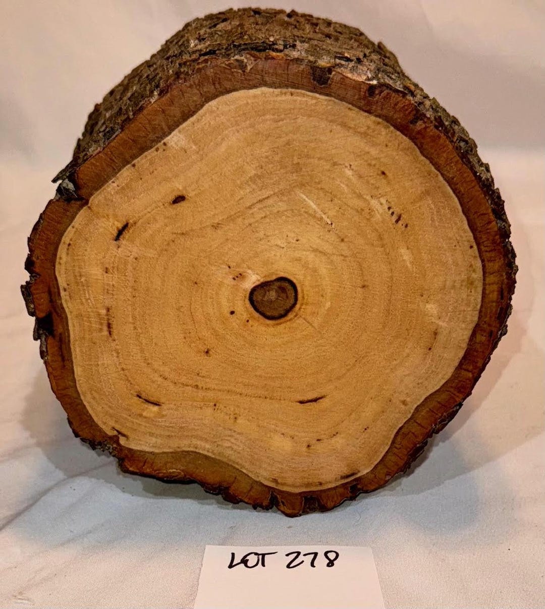 Pecky Pecan Project Log, Green Pecan Wood for Wood Turning, Wood ...