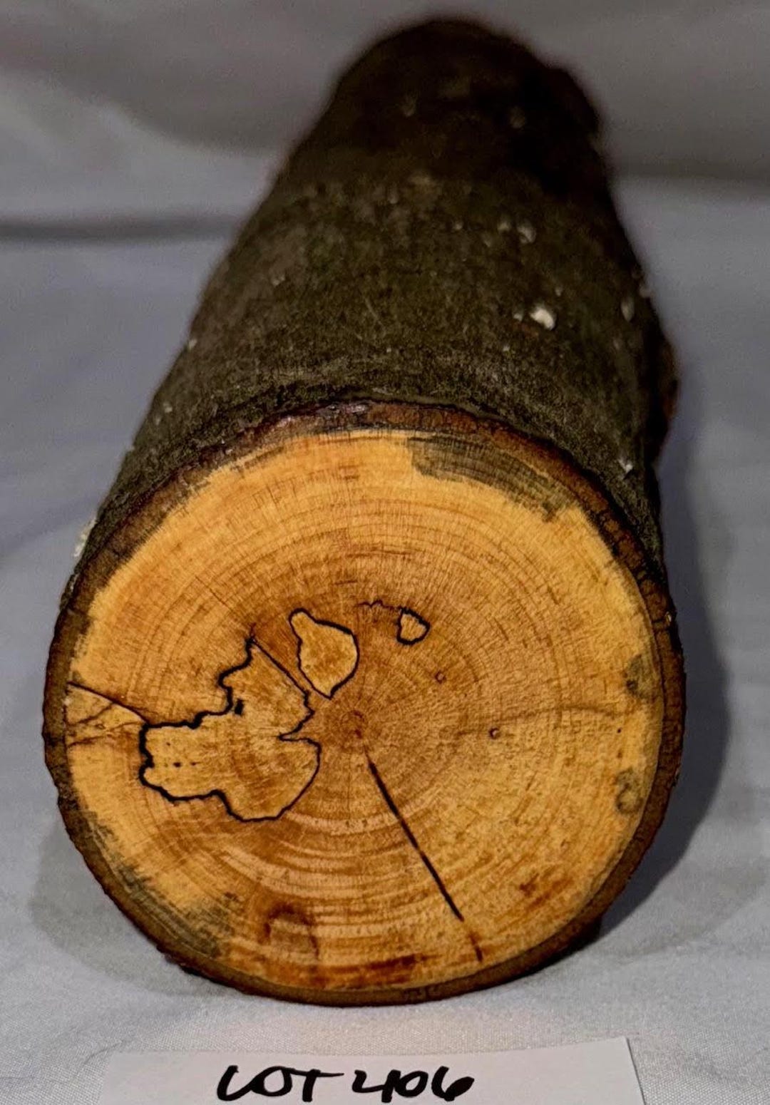 Spalted Maple Project Log, Craft Log for Woodworking, Wood Carving ...