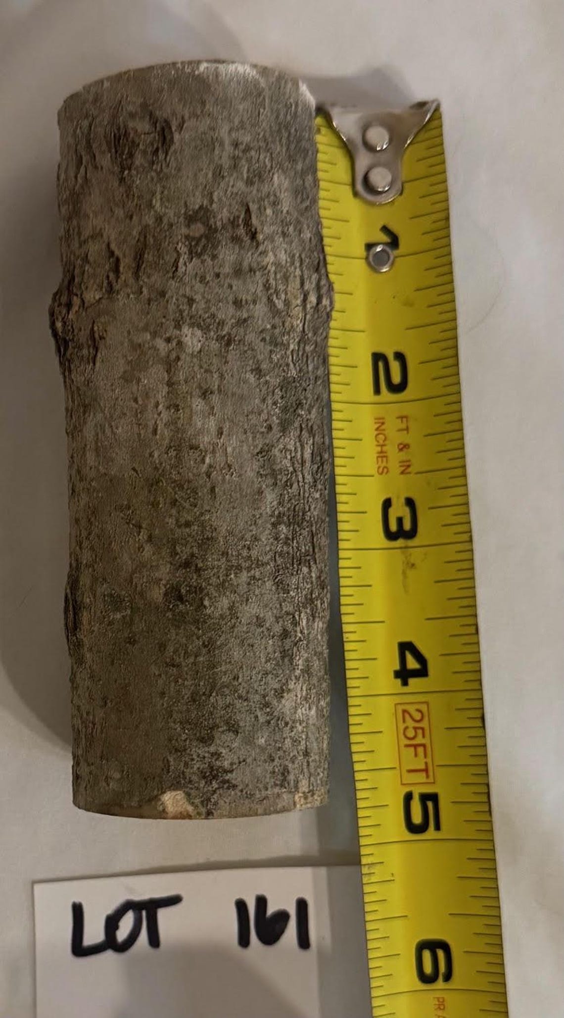 One Piece Ash Craft Log for Woodworking, Woodturning, Woodcarving ...