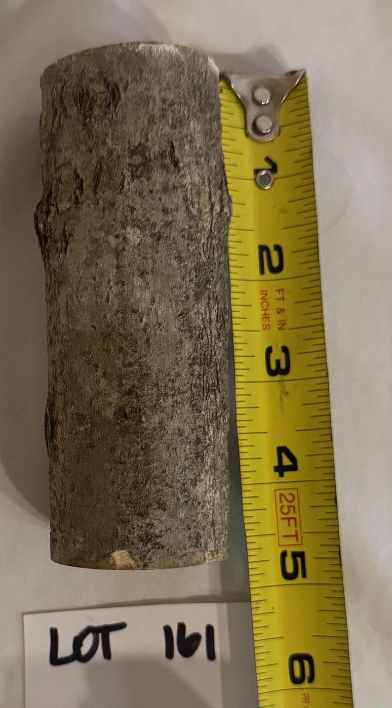 One Piece Ash Craft Log for Woodworking, Woodturning, Woodcarving ...