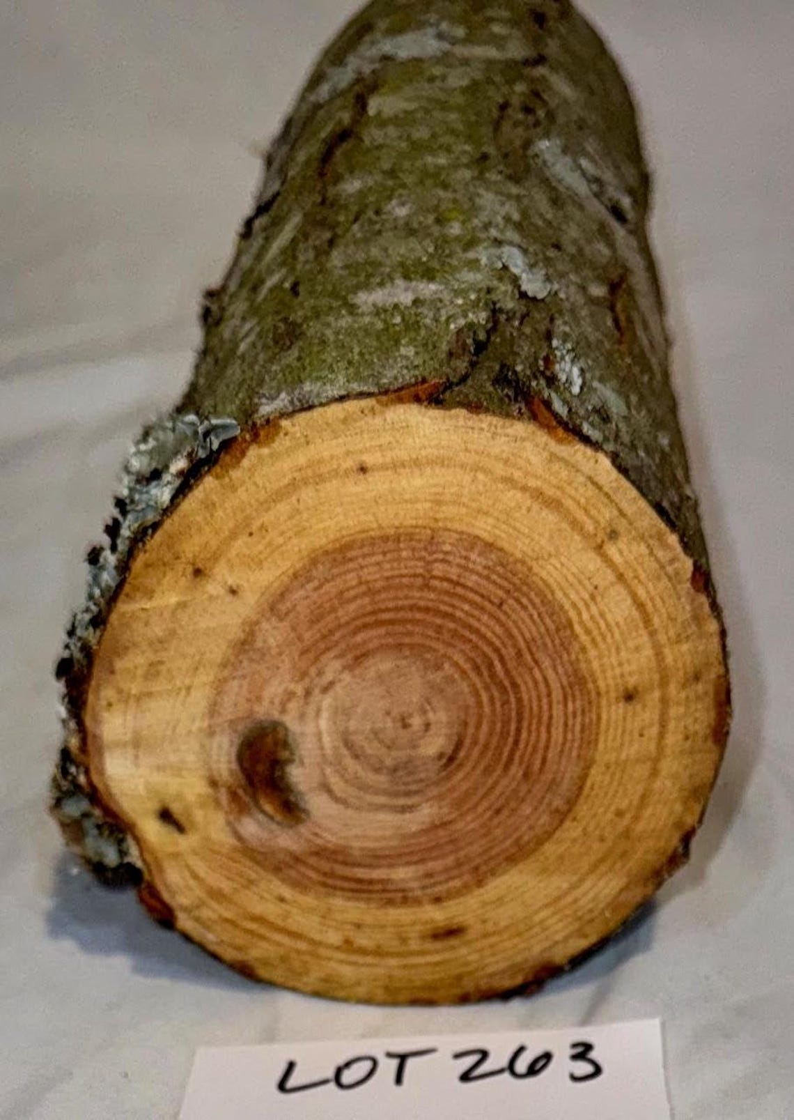 Honey Locust Project Log, Rustic Green Project Wood for Turning Blanks ...