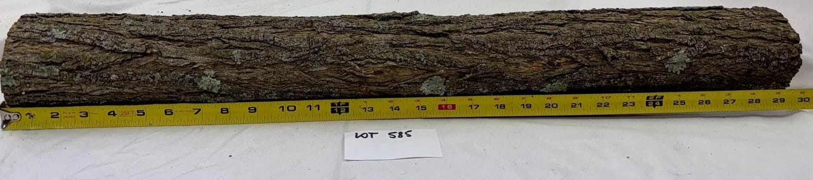 Black Locust Wood Project Log, Craft Woodworking Blank (29x3.5 Inches ...