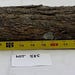 Black Locust Wood Project Log, Craft Woodworking Blank (29x3.5 Inches ...