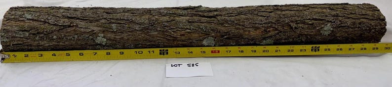 Black Locust Wood Project Log, Craft Woodworking Blank (29x3.5 Inches ...