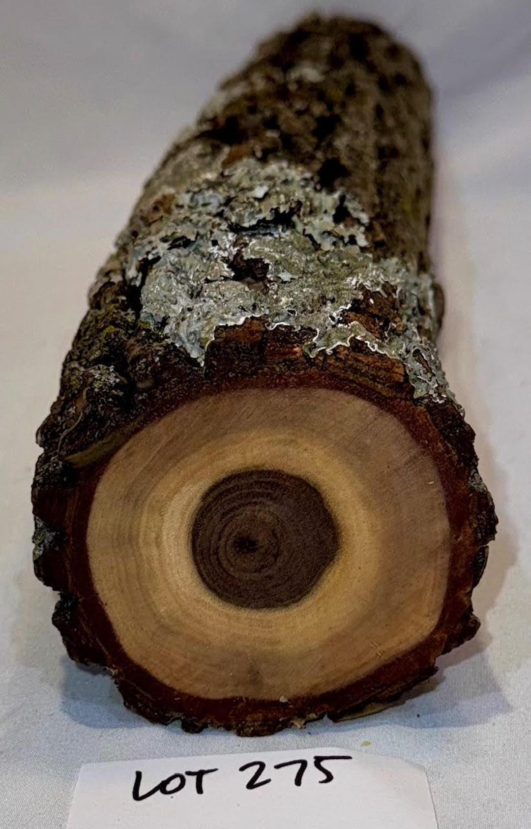 Black Walnut Craft Log, Project Log for Wood Working, Wood Turning ...